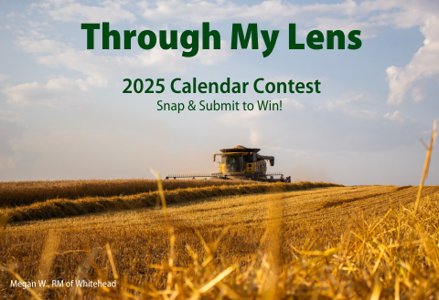 MASC - Calendar Photos